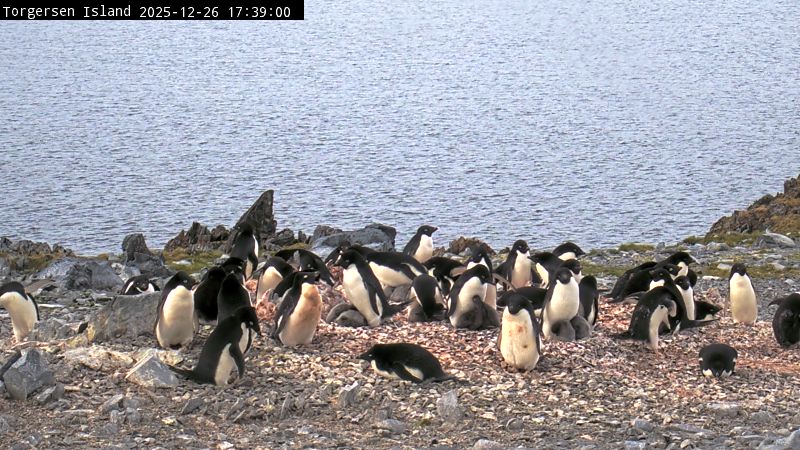 The USAP Portal: Science and Support in Antarctica - Welcome to the ...